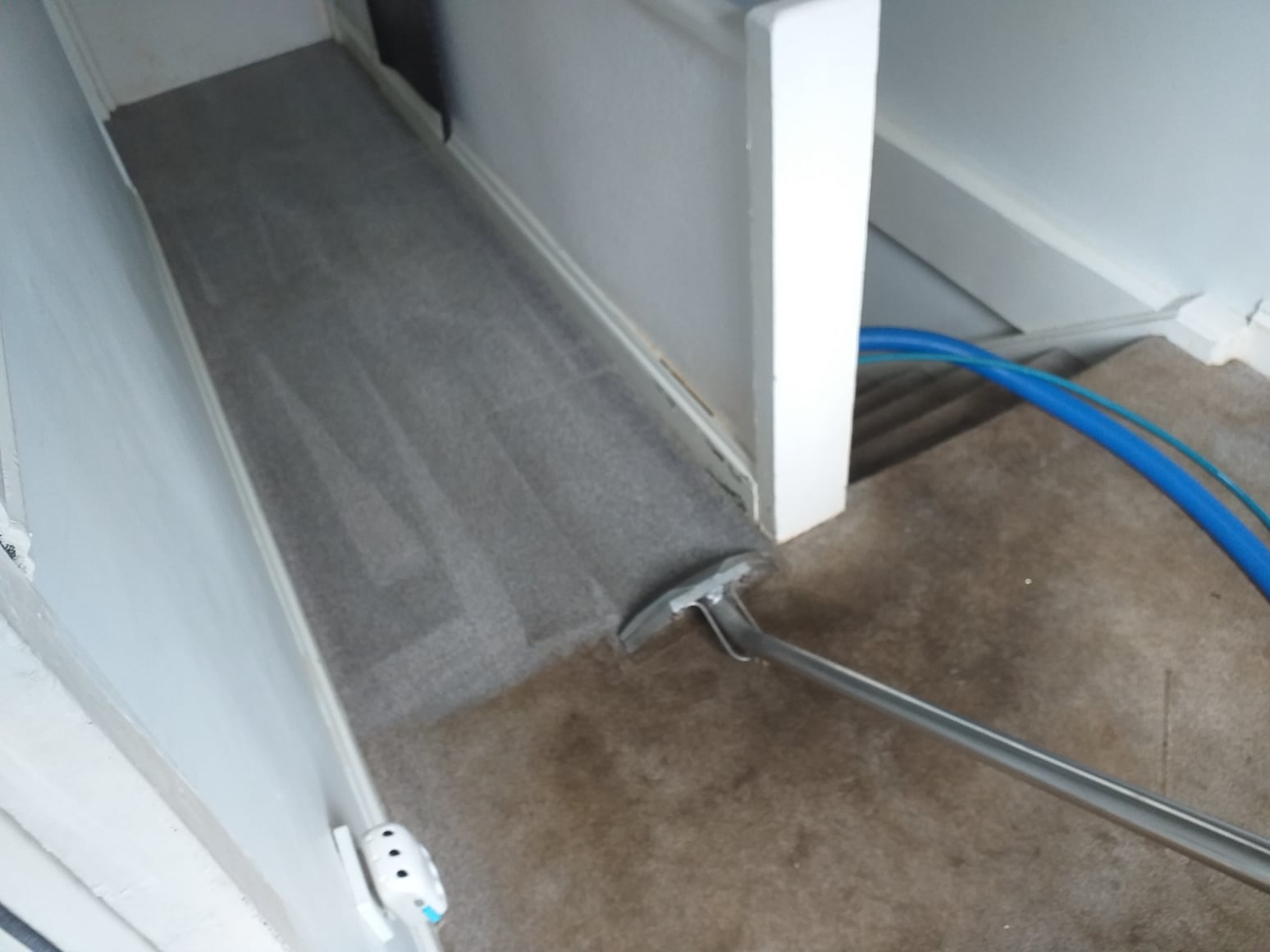 Xtra Clean – Carpet Cleaning in Newcastle, Gateshead and the North-East ...